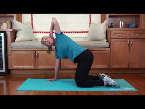 Quadruped Torso Rotation Exercise | Think...Feel...Be....BodyWise!