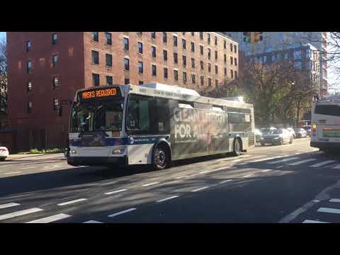 Mta m4 m2 m10 buses