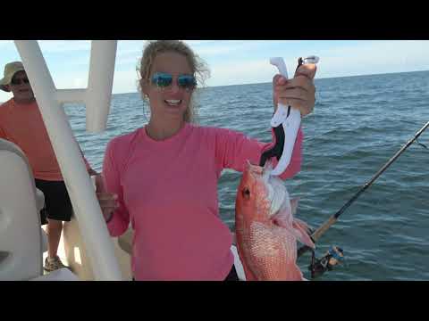 Pensacola Offshore Fishing - July 4th 2019