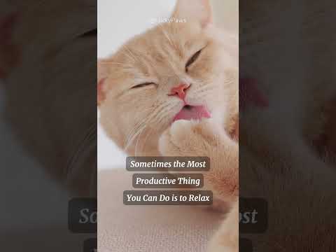 😊Quote of The Day - #cat #memes #quotes #love #cute #whatsappstatus