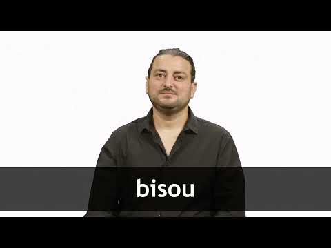 How to pronounce BISOU in French