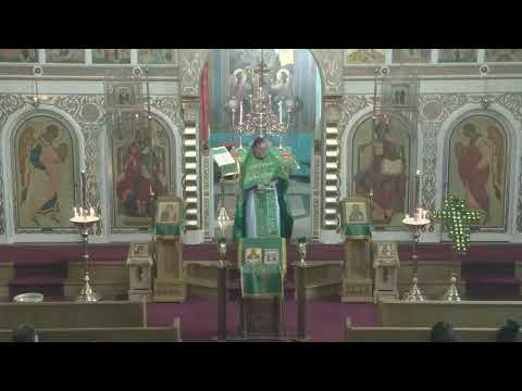 Matins & Divine Liturgy - All Saints of America 6/22/2025