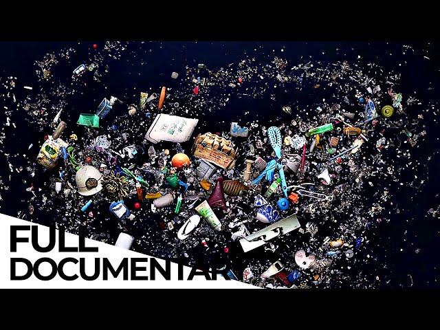 The Hidden Crisis: Understanding the Fate of Plastic in Our Oceans ...