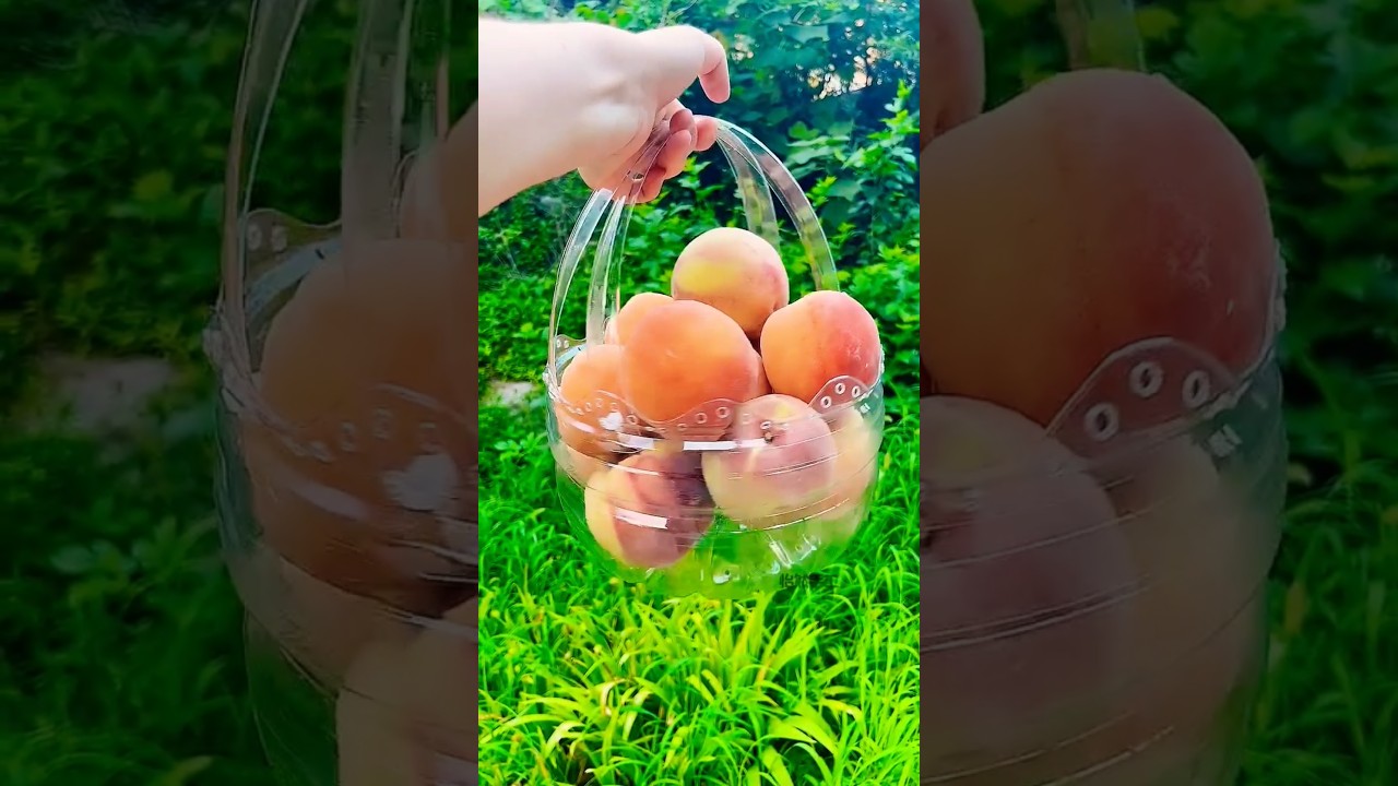 How To Make Fruit 🍑 Basket 🧺 With Plastic Bottle 👍 #youtubeshorts #ideas #diy #making