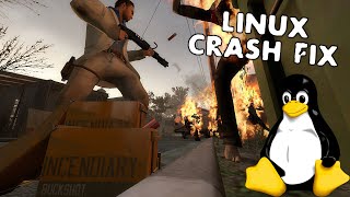 Fire ammo crash fix for Linux (Mod) for Left 4 Dead 2 - GameMaps.com
