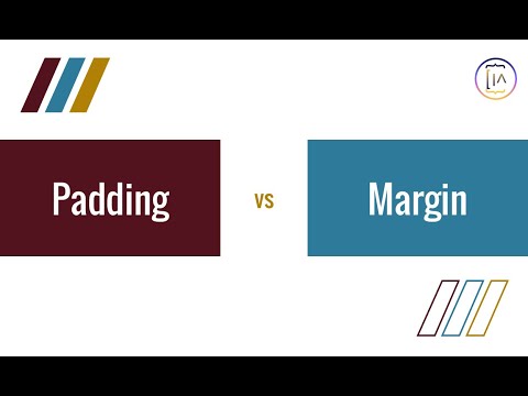 CSS Padding vs Margin | Best vs Best