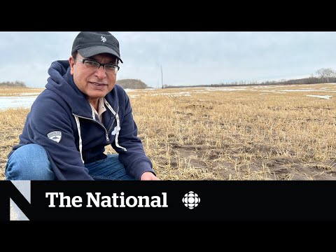 Intense labour shortage looms in Canada’s farming industry: report