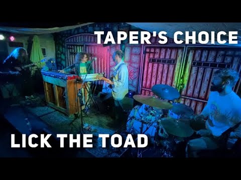Taper’s Choice Fall Tour Arrives at Union Pool, Woodsist Festival