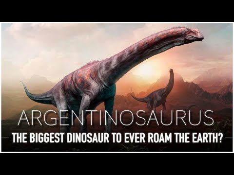 Argentinosaurus: One of The LARGEST Land Animals To Walk The Earth | Dinosaur Documentary