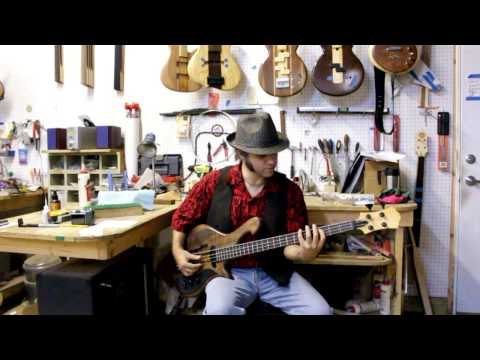 Birdsong Sadhana 4-String Short Scale USA-made in 2009 | Reverb