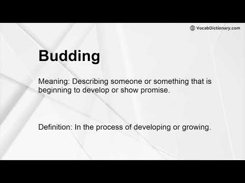 Budding Meaning