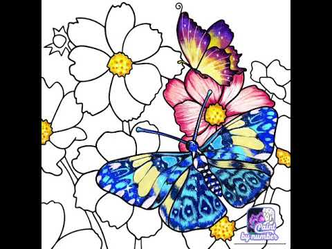 Game:Paint by numbers Drawn Flowers and butterflies