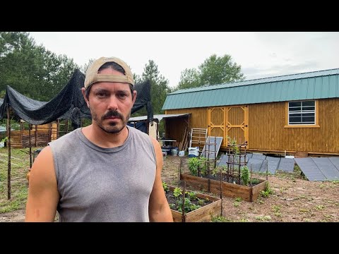 I LIVE COMPLETELY OFF GRID AND ALONE | Here's What It's Really Like - Ep. 21