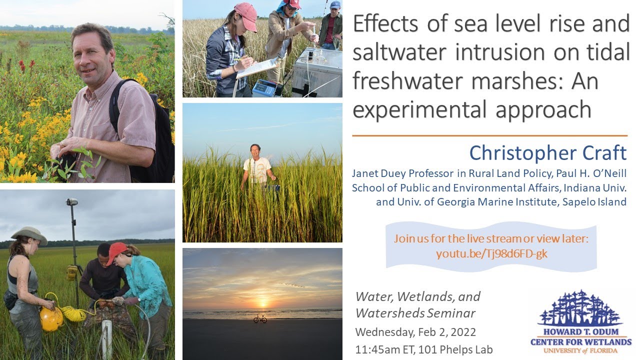 W3 seminar: Effect of sea level rise, saltwater intrusion on tidal marshes: An experimental approach