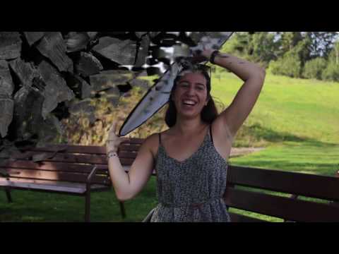 Manaakitanga: CAN YOU TELL THE DIFFERENCE