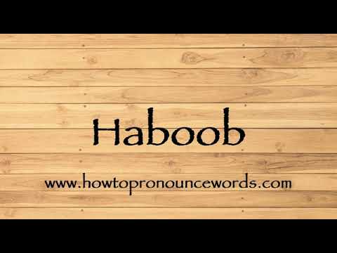 How To Pronounce Haboob ? How To say Haboob New Video