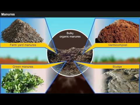 Adding Manure and Fertilisers and Difference between them Video Lecture ...