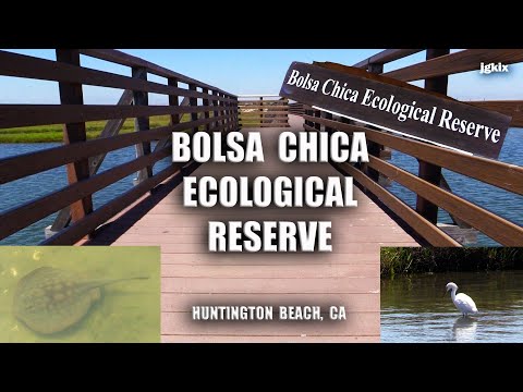 Bolsa Chica Ecological Reserve