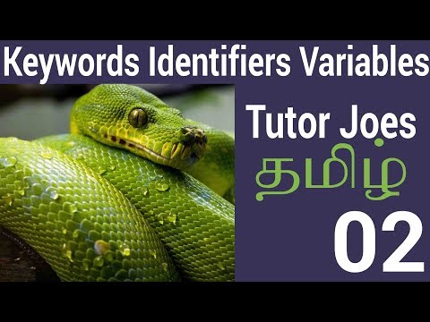 Learn Keywords Identifiers and Variables in Python Tamil - Mind Luster
