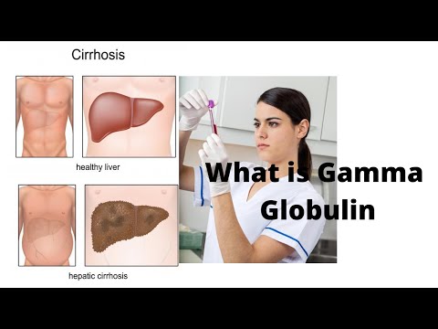 What is Gamma Globulin