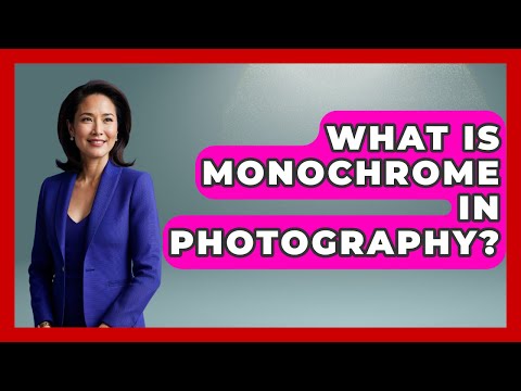 What Is Monochrome In Photography? - Graphic Design Nerd