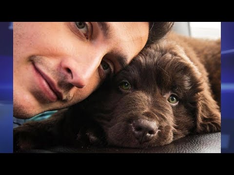 ‘Baby Talk’ for Pets? It May Have Benefits!