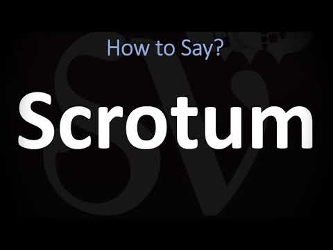 How to Pronounce Scrotum? (CORRECTLY)