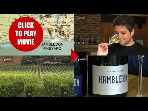 English wine: Hambledon vineyard, Style & Aging Part 1