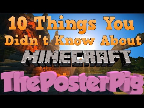 10 Things You Didn't Know About Minecraft!