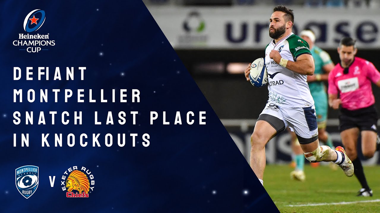 Sharks vs Clermont en direct : suivez le match en live avec Vibrez Rugby