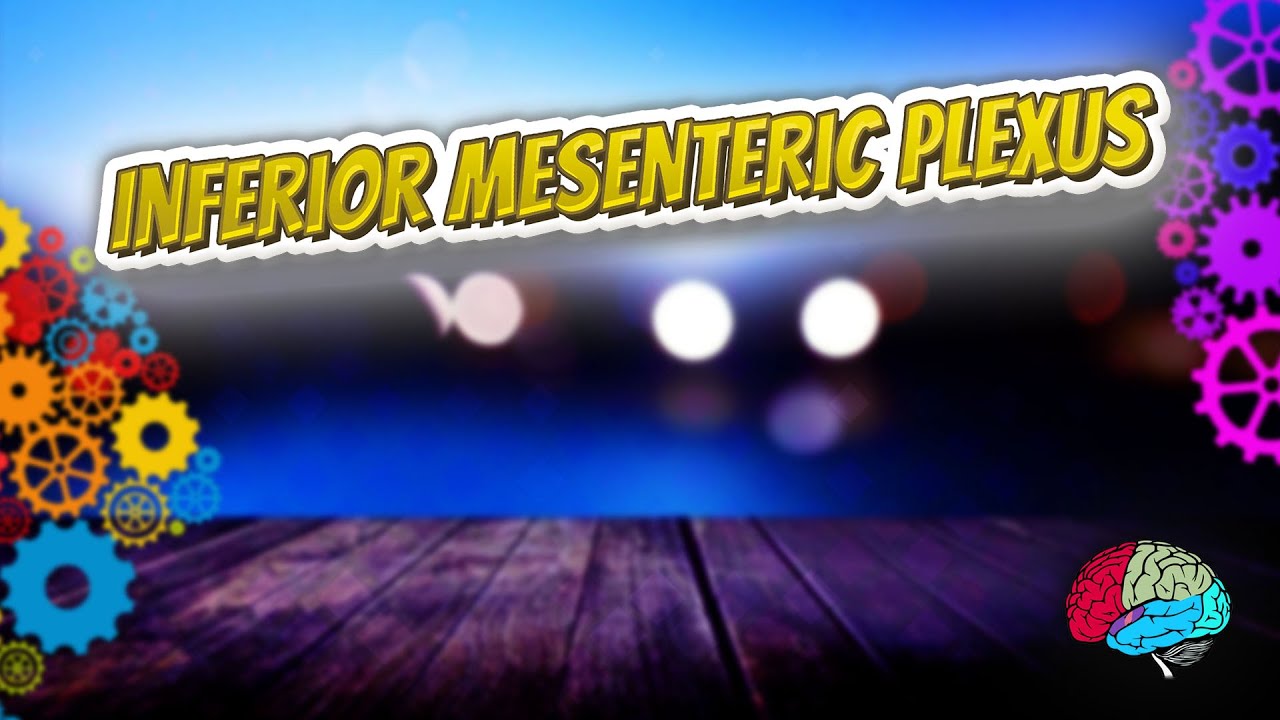 Inferior Mesenteric Plexus - Know It ALL 🔊✅
