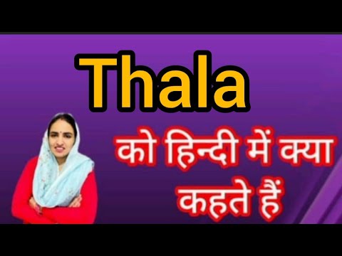 Thala ka kya matlab hota hai/Thala meaning in hindi/word meaning/English unknown