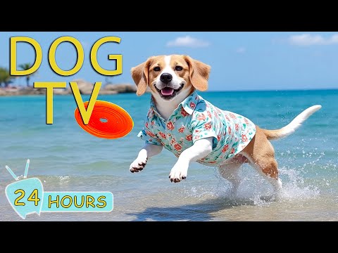 DOG TV: Best Video to Prevent Boredom and Anxiety in Dogs While You're away - Relax Music for Dogs