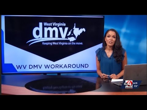 DEPARTMENT OF MOTOR VEHICLE (DMV) UPDATES