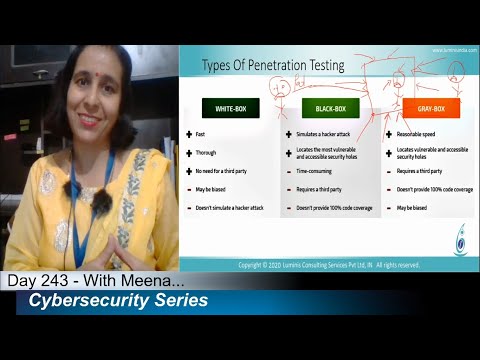 Day-243: What Are The Different Types Of Penetration Testing?