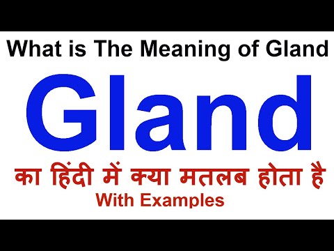 Gland Meaning in Hindi | Gland Definition | Gland Ka Matlab Kya Hota Hai | Gland in Hindi