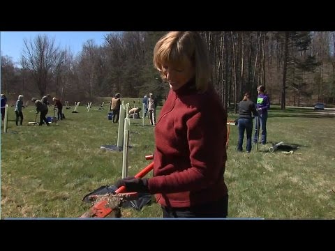 DCNR and Its Volunteers Recognize Earth Day and Arbor Day All Year Long