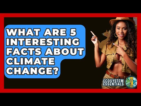 What Are 5 Interesting Facts About Climate Change? - Ecosystem Essentials