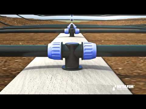 Netafim Drip Irrigation - Latest Price, Dealers & Retailers in India