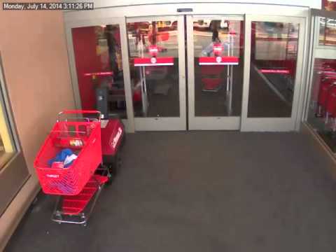 Grand Larceny from Target - 8315 N. Rockwell
