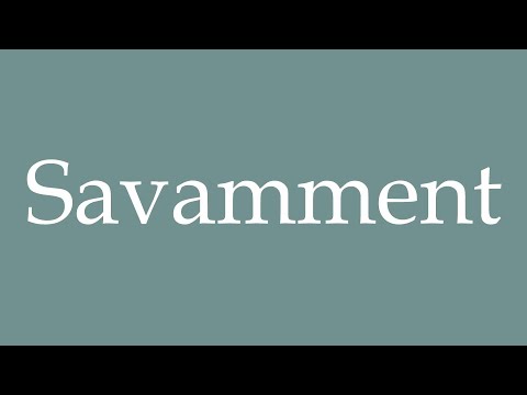 How to Pronounce ''Savamment'' (Expertly) Correctly in French