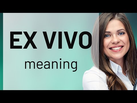 Ex vivo — what is EX VIVO definition