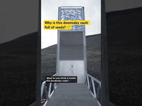 This Doomsday Vault Is Full of Seeds