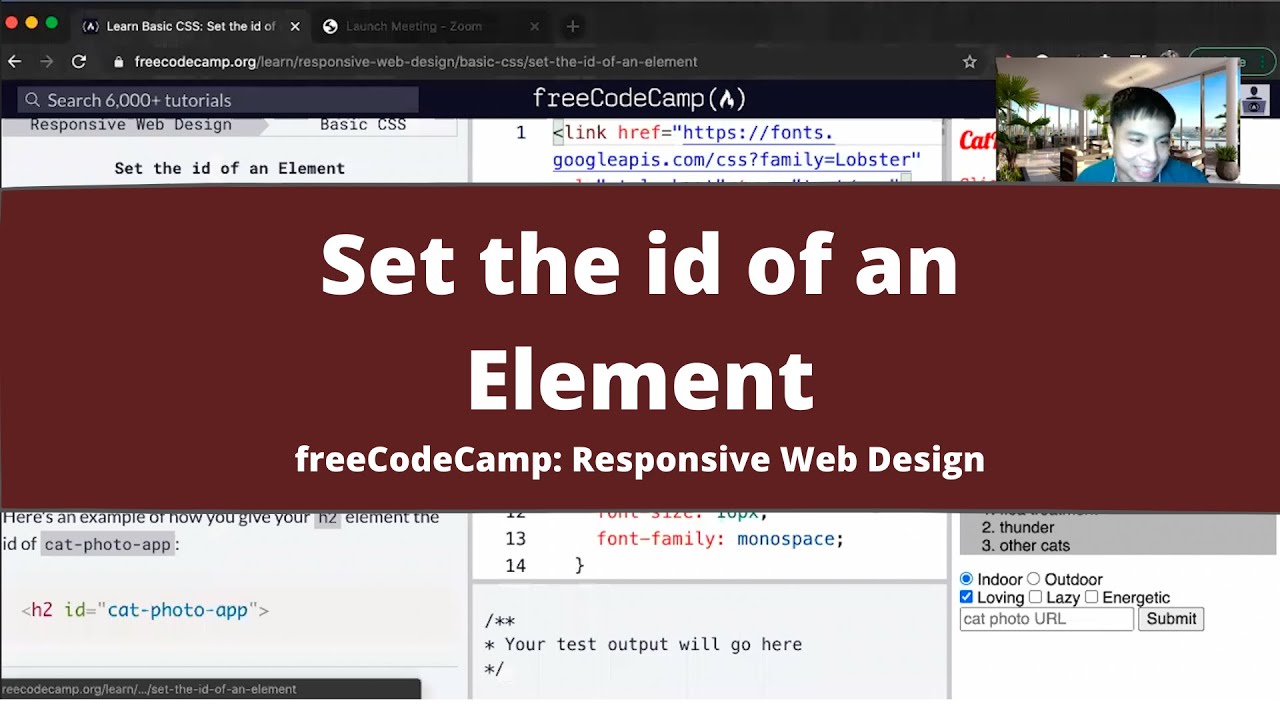 Set the id of an Element (Basic CSS) freeCodeCamp tutorial