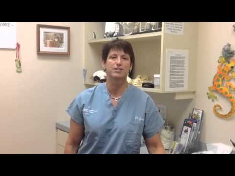 Wellness for pets- Dr Tia Greenberg