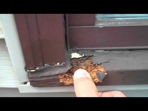 New Stanek Windows Replace Rotting Wood Windows.mp4