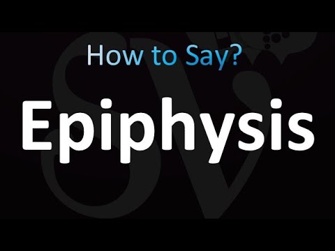 How to Pronounce Epiphysis (correctly!)