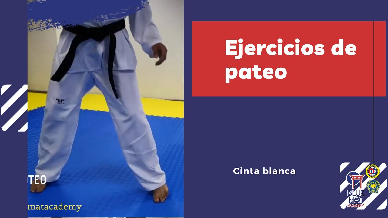 Guia de estudio taekwondo tradicional