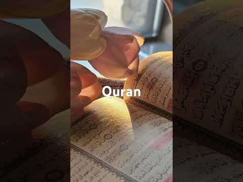 Surah Baqarah ayat 272–273 urdu translation #quran #viralvideo #shortvideo #islamicspeaker #shorts
