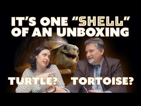 Tortoise Shell Surprise